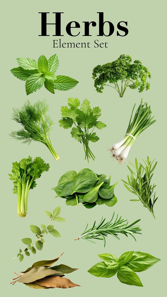 Green herb design element set | Free Photo - rawpixel