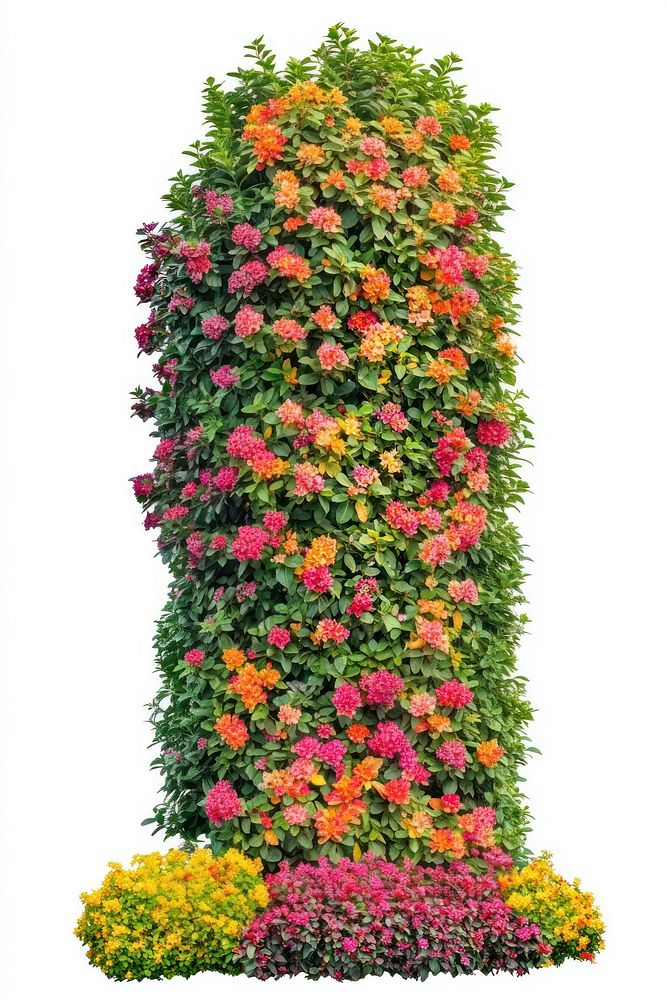 Colorful vertical flower garden | Free Photo - rawpixel