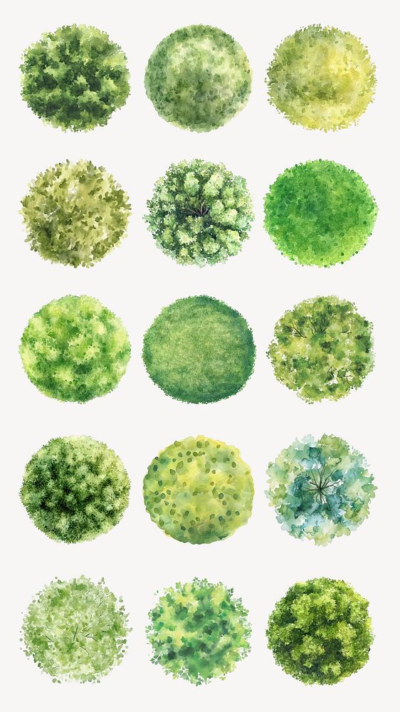 Tree top view design element | Premium Photo - rawpixel