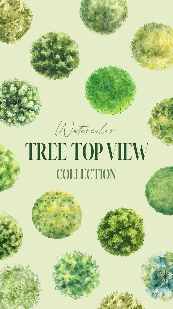 Tree top view design element | Free Photo - rawpixel