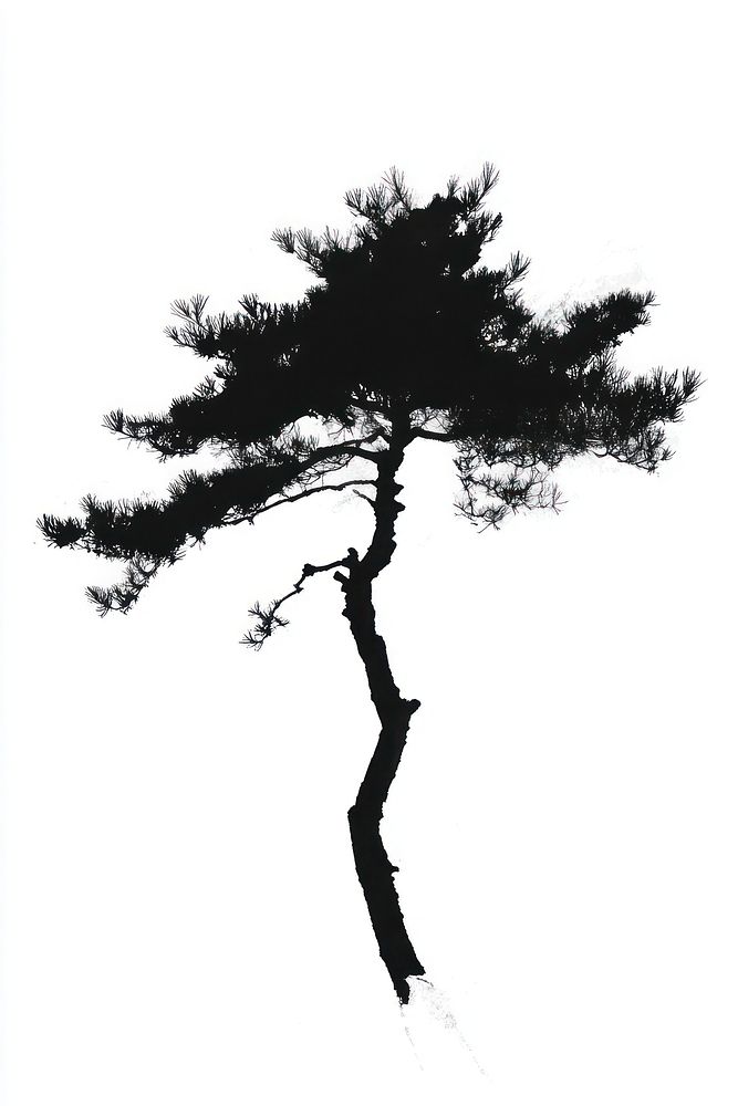 Pine tree black ink illustration. | Free Photo Illustration - rawpixel