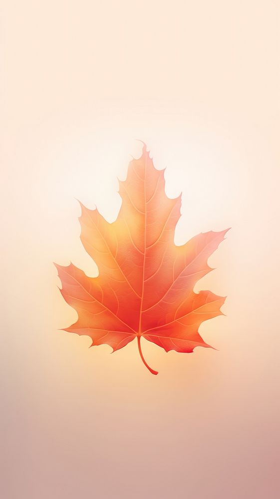 Faded blurry gradient Autumn Leave | Premium Photo Illustration - rawpixel
