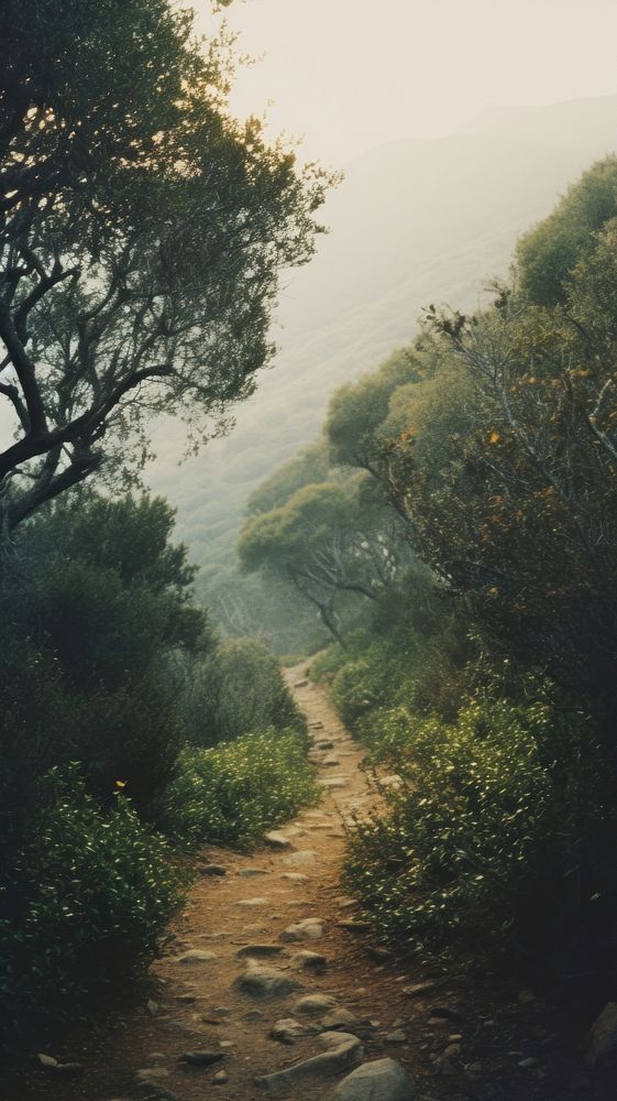 Nature hiking trail landscape outdoors | Premium Photo - rawpixel