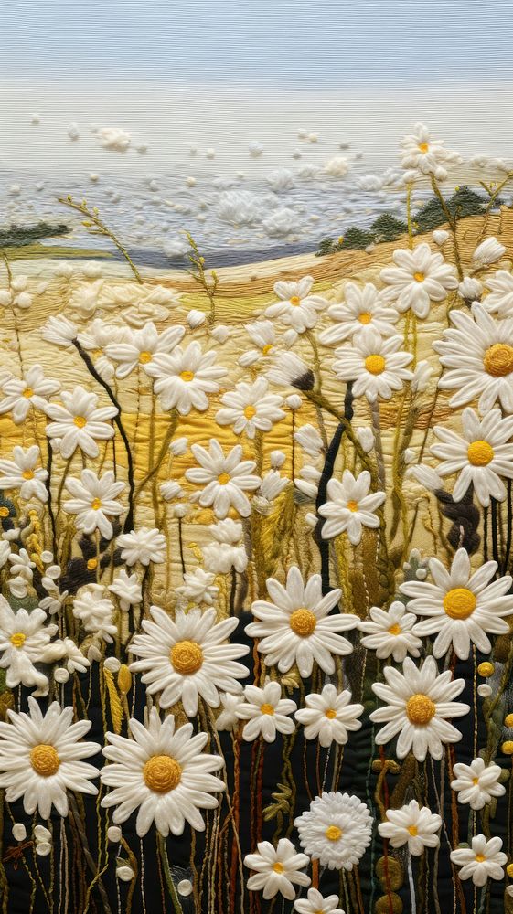 Daisy flower fields landscape outdoors | Premium Photo - rawpixel