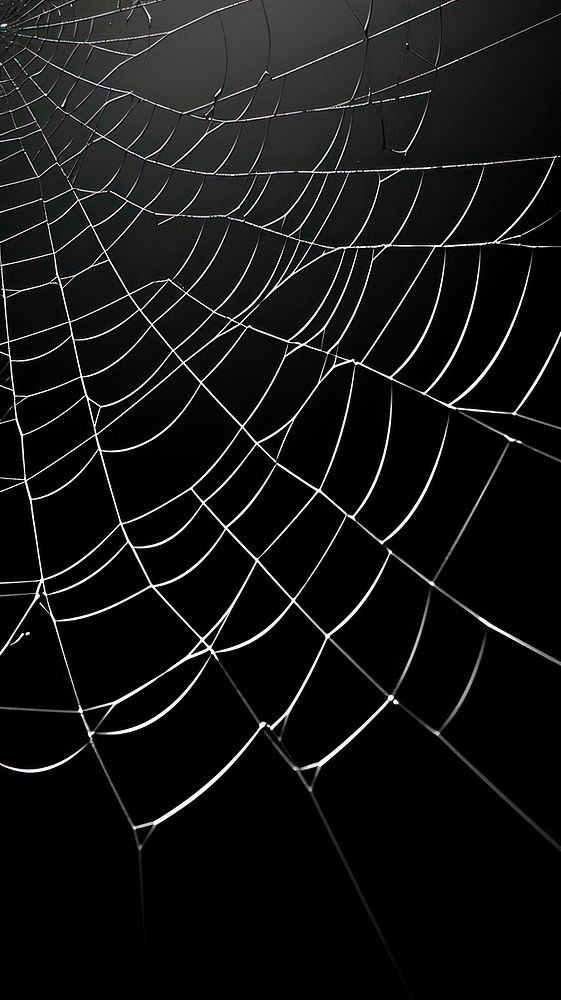 Photography spider web black backgrounds | Free Photo - rawpixel