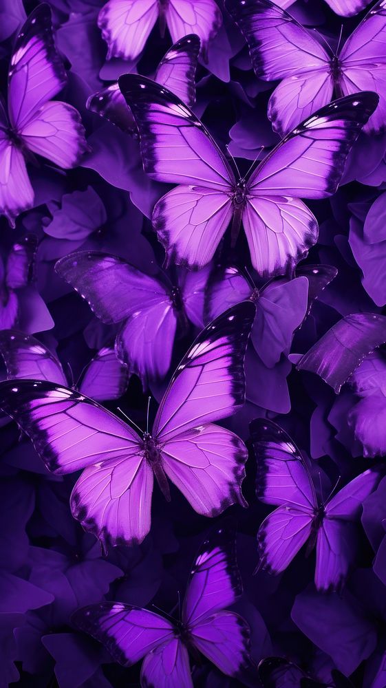 Purple butterfly background backgrounds human | Free Photo Illustration ...