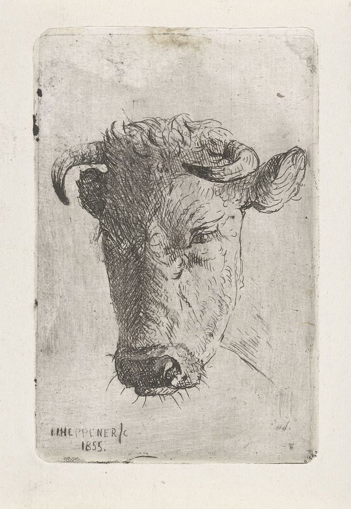 Koeienkop (1855) by Jan Heppener | Free Photo Illustration - rawpixel