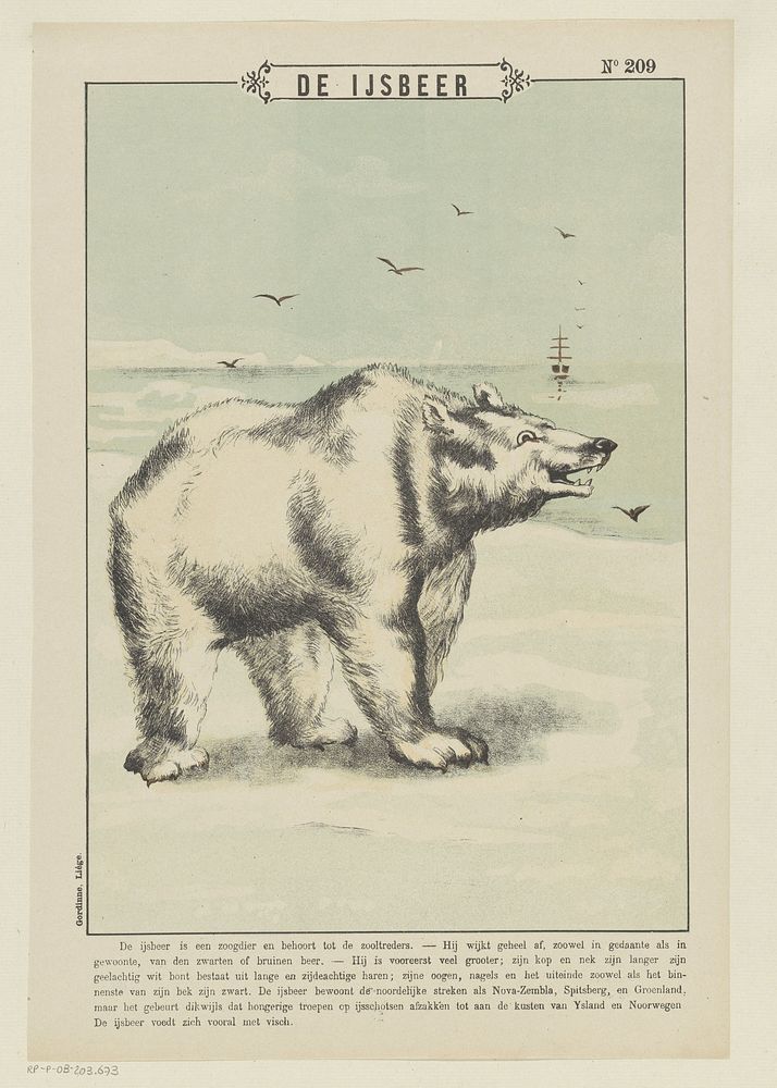 De ijsbeer (1894 - 1959) | Free Photo Illustration - rawpixel