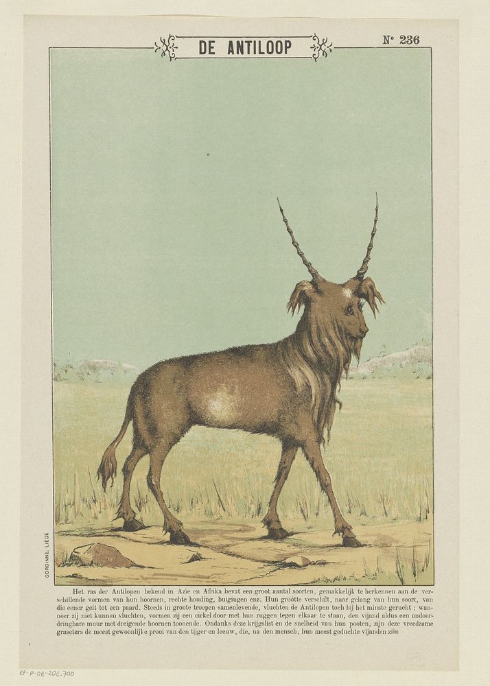 De antiloop (1894 - 1959) | Free Photo Illustration - rawpixel