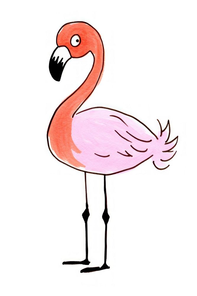 Flamingo cartoon drawing animal | Free Photo Illustration - rawpixel