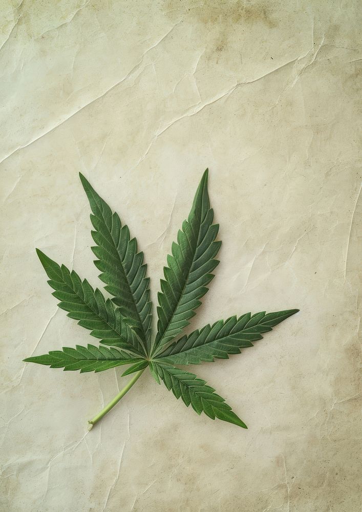 Real Pressed mini green cannabis | Free Photo - rawpixel