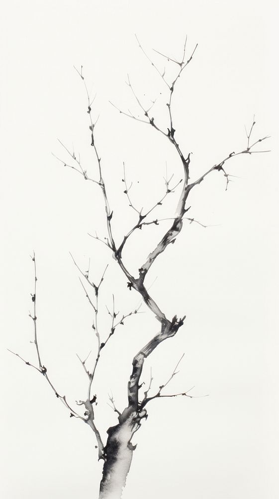 Dried Tree branch tree drawing | Premium Photo Illustration - rawpixel