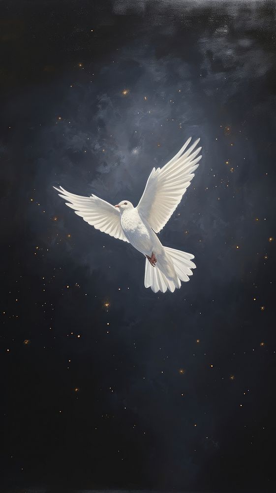 Animal flying bird dove. | Free Photo Illustration - rawpixel