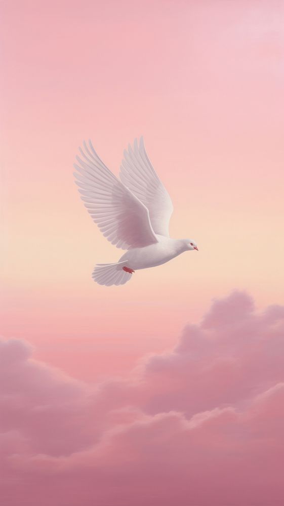 Bird pink dove sky. | Premium Photo Illustration - rawpixel