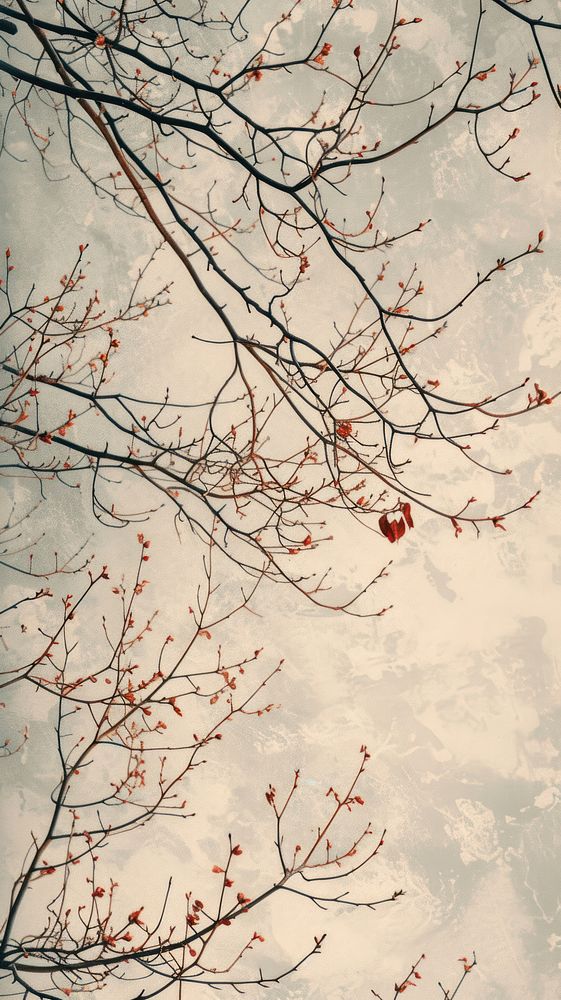 Aesthetic wallpaper tree outdoors blossom. | Free Photo Illustration ...