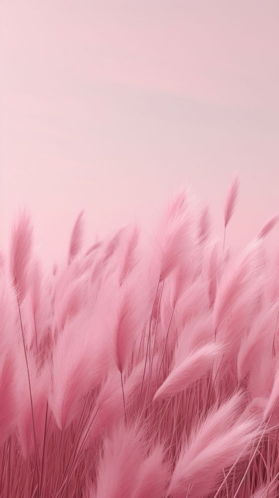 Pink grass field flower plant | Premium Photo - rawpixel