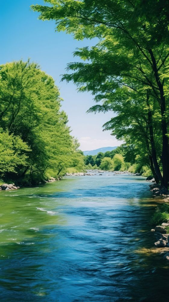 River landscape wallpaper wilderness outdoors | Free Photo - rawpixel