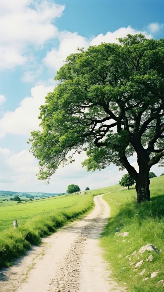Summer country road landscape grassland | Free Photo - rawpixel