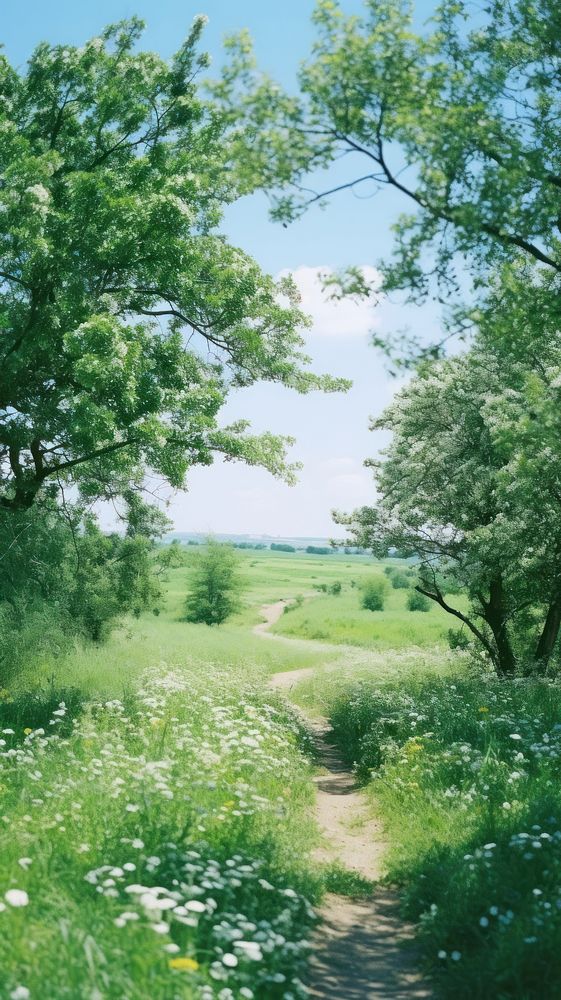 Serene countryside path with greenery | Premium Photo - rawpixel