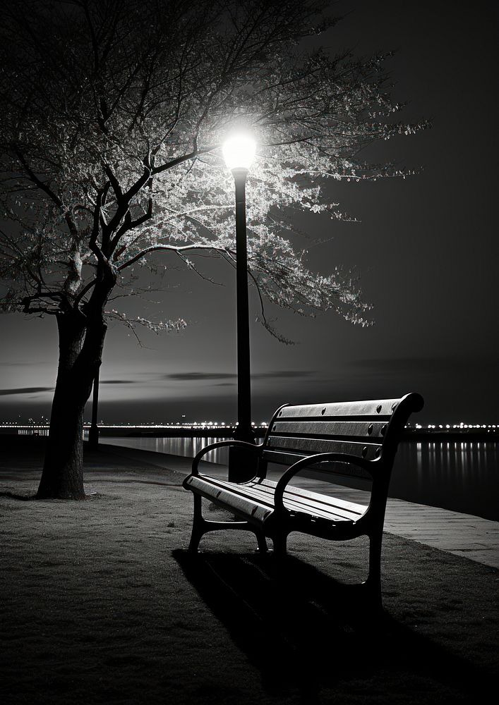 Photography riverside outdoors lighting nature. | Free Photo - rawpixel