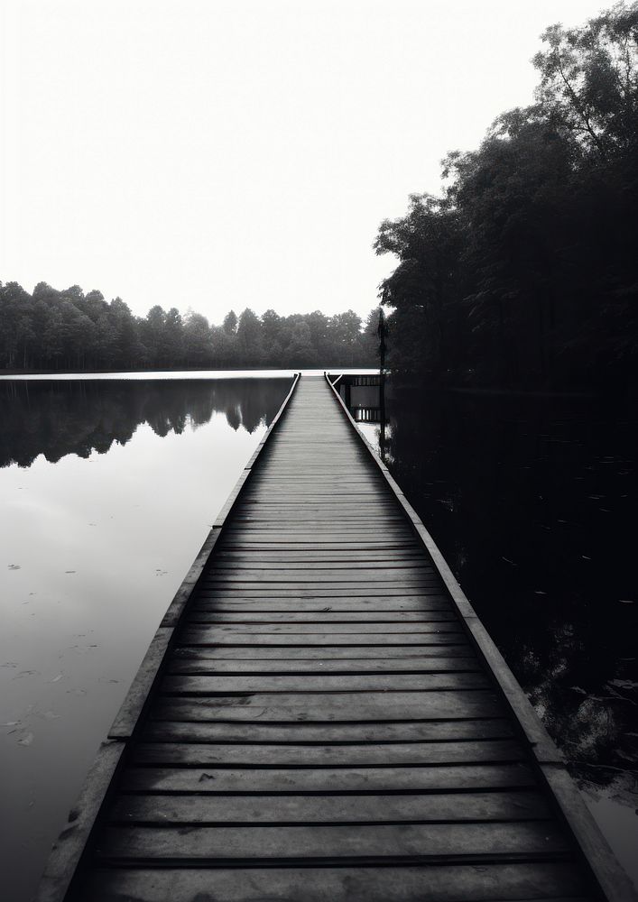 Photography river boardwalk outdoors nature. | Premium Photo - rawpixel