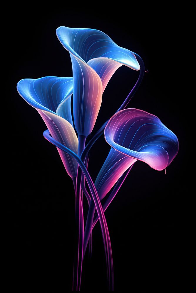 Illustration calla lily neon rim | Free Photo Illustration - rawpixel