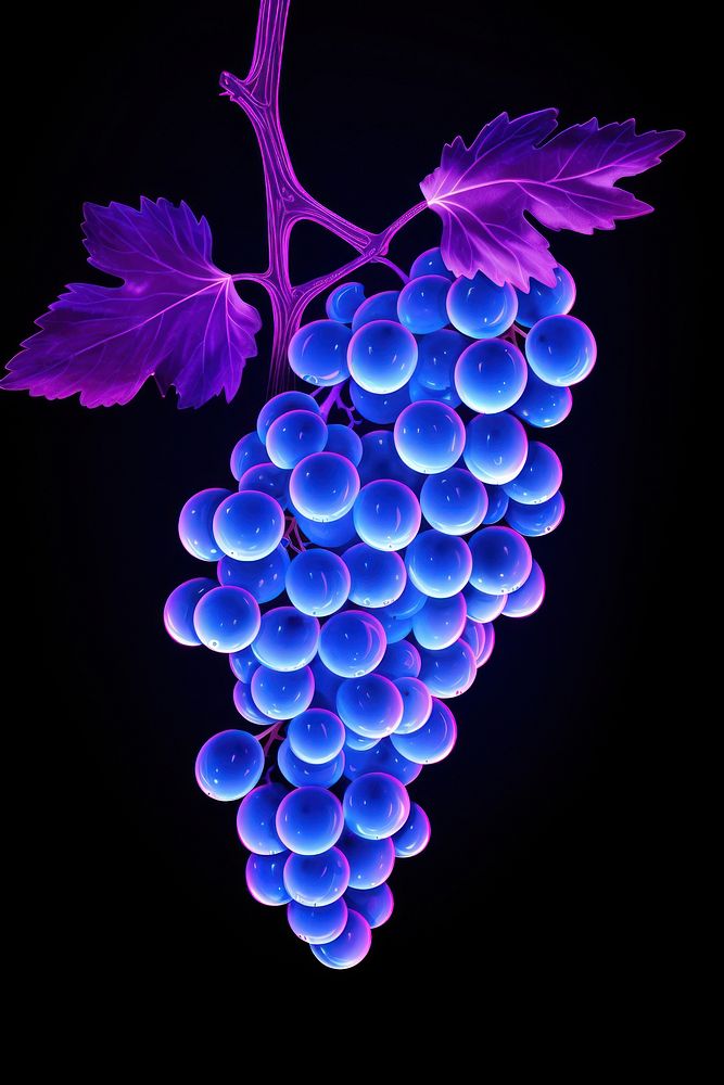 Illustration grapes neon rim light | Free Photo Illustration - rawpixel