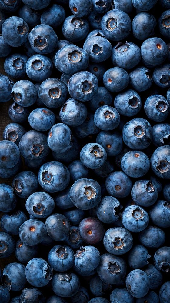 Fresh blueberries food blueberry market. | Premium Photo - rawpixel