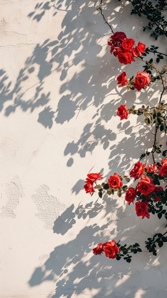 Roses wall architecture backgrounds. | Premium Photo - rawpixel
