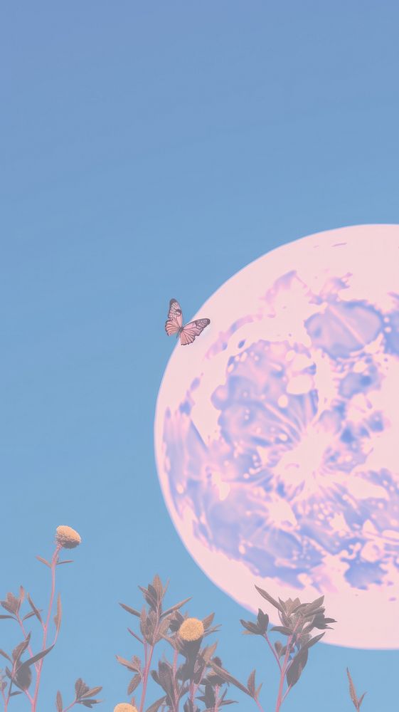 Butterfly and moon astronomy outdoors | Free Photo Illustration - rawpixel