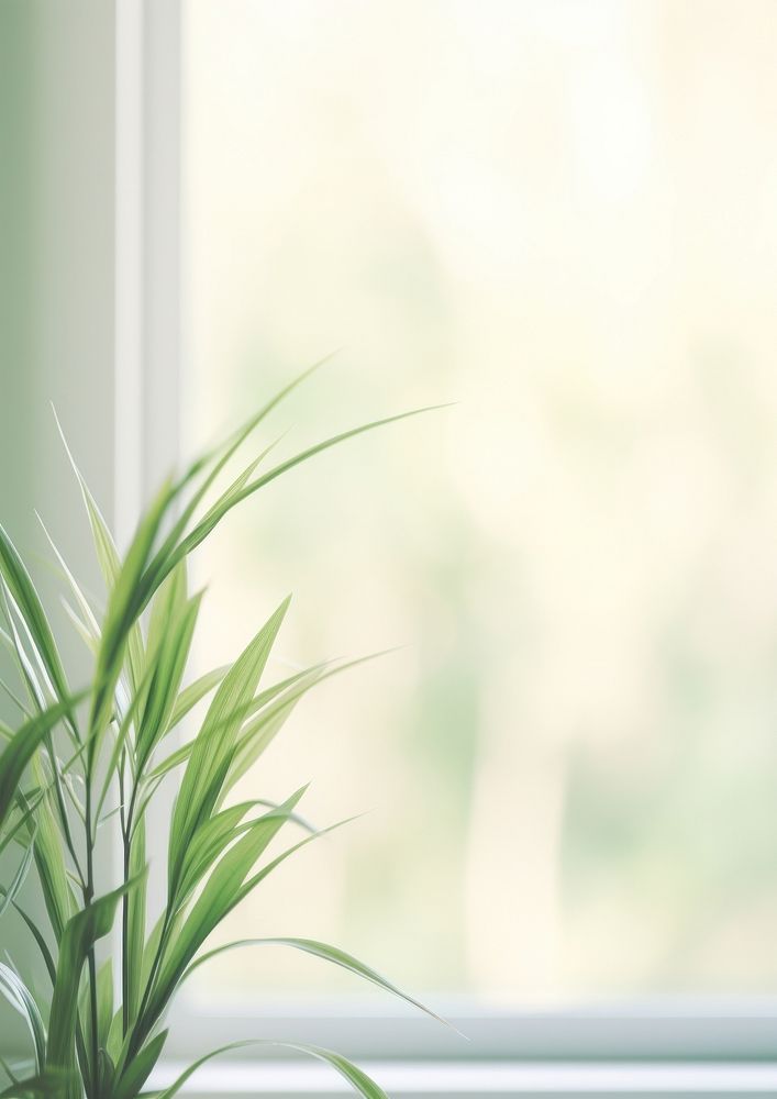 Window morning time greenery outside | Premium Photo - rawpixel
