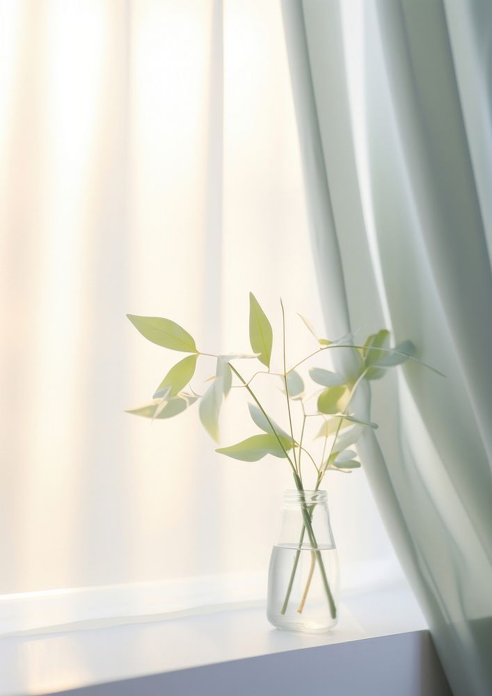 Window morning time greenery windowsill | Free Photo - rawpixel