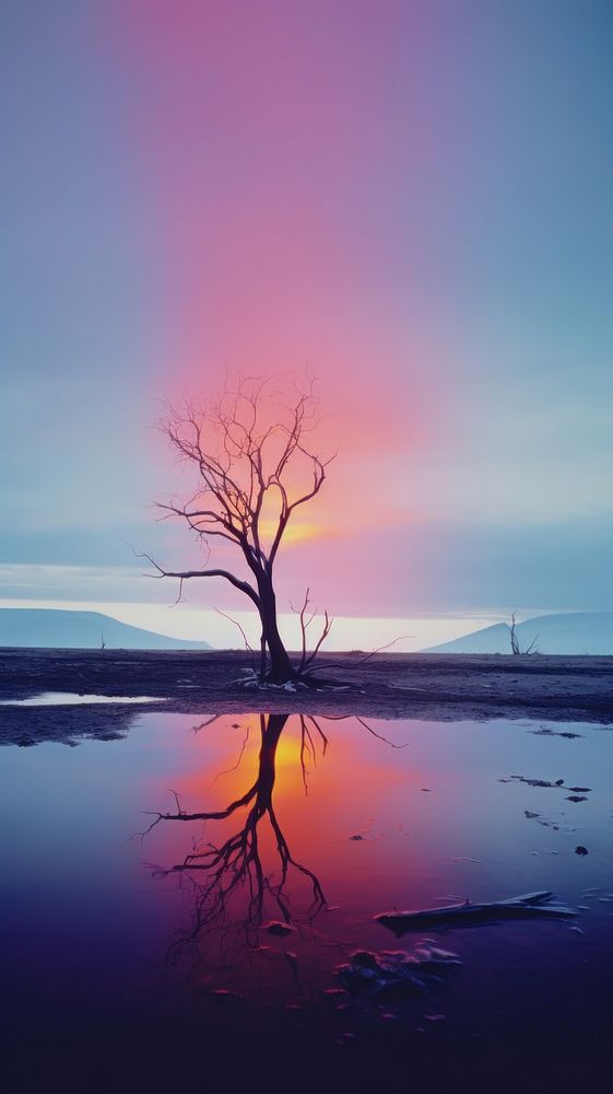 Photography clear nature landscape outdoors | Free Photo - rawpixel