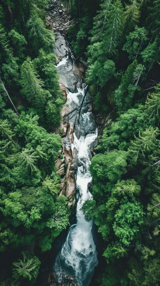 Aerial top view Waterfall waterfall | Free Photo - rawpixel