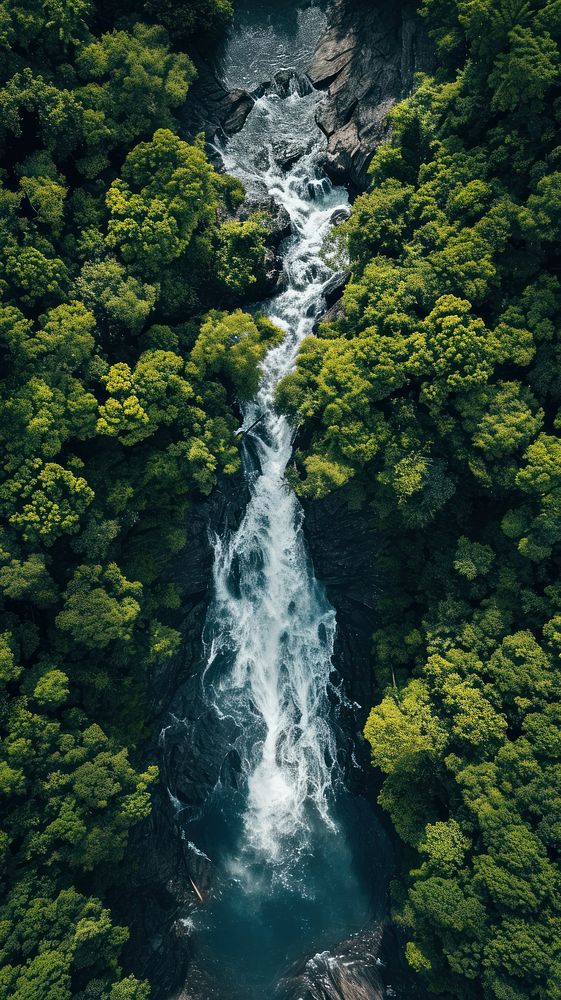 Aerial top view Waterfall vegetation | Free Photo - rawpixel