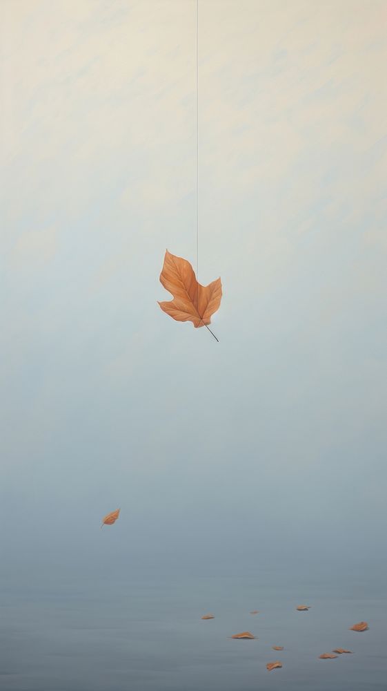 Minimal space leaf tranquility reflection | Premium Photo Illustration ...