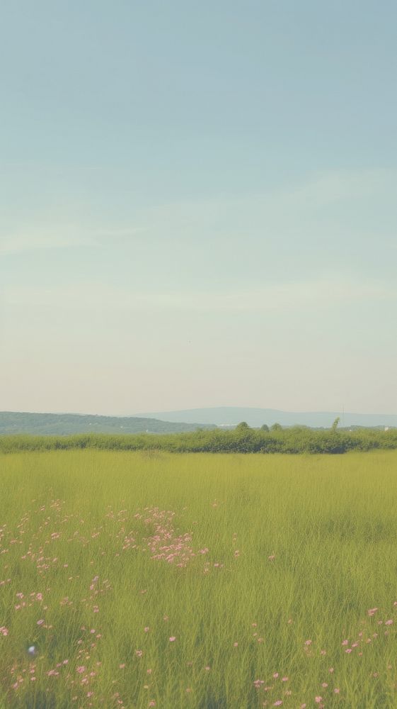 Aesthetic field landscape wallpaper grassland | Premium Photo - rawpixel