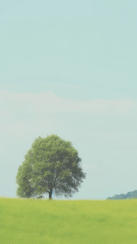 Esthetic green tree landscape wallpaper | Free Photo - rawpixel