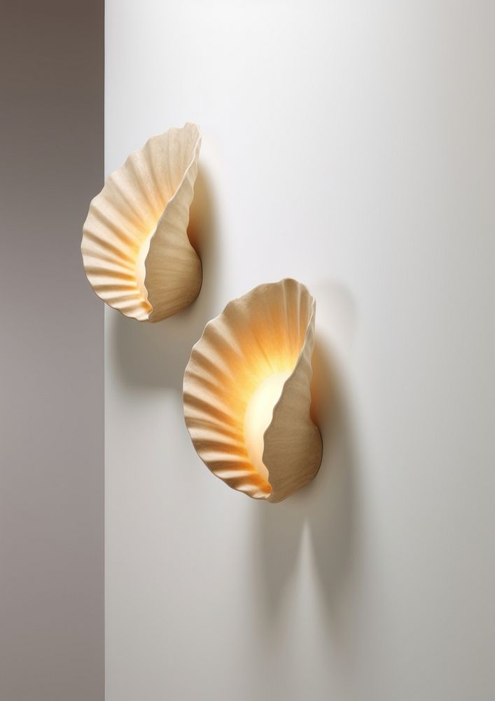 pair organic shell wall light | Premium Photo - rawpixel