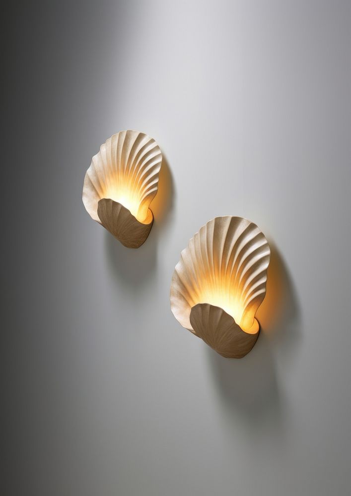pair organic shell wall light | Free Photo - rawpixel