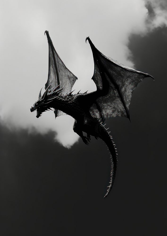 dragon flying sky animal black | Premium Photo - rawpixel
