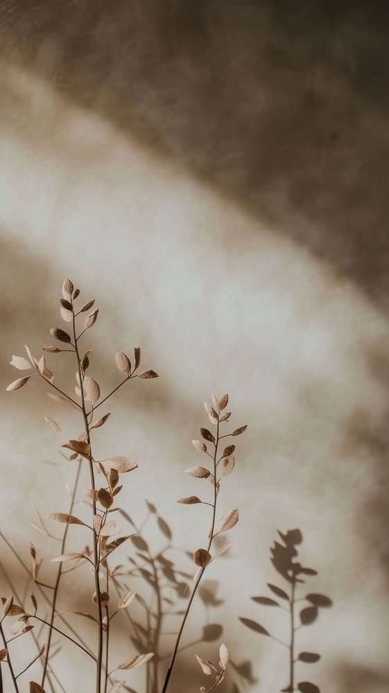 Natural Background Beige Images | Free Photos, PNG Stickers, Wallpapers ...