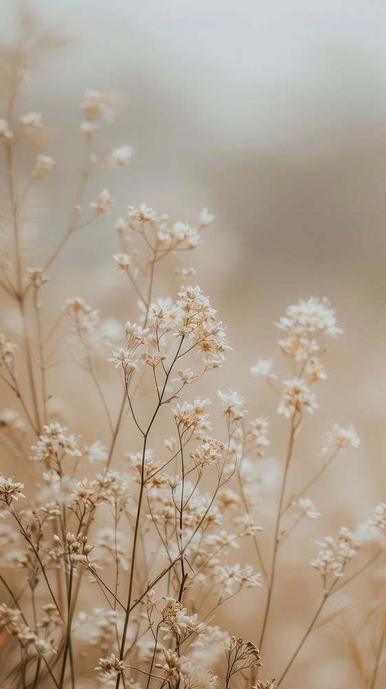Aesthetic beige photo outdoors blossom | Free Photo - rawpixel