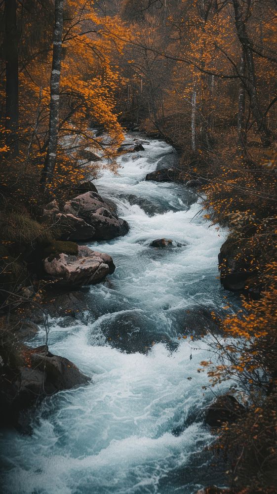 Aesthetic river photo outdoors nature | Free Photo - rawpixel