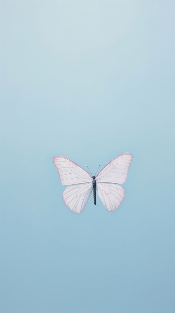 Minimal butterfly animal insect flying. | Free Photo Illustration ...