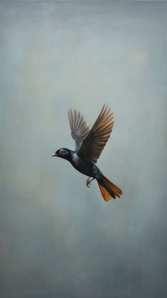 Minimal space bird painting animal | Premium Photo Illustration - rawpixel