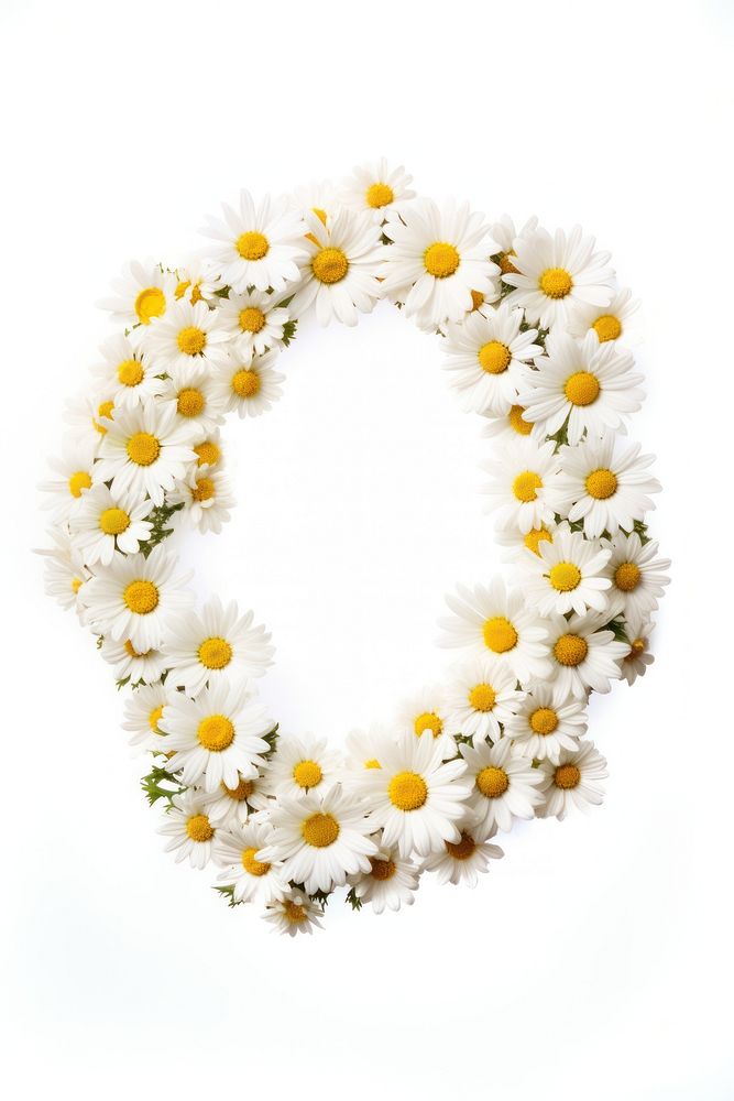 Floral frame daisy flower nature | Premium Photo - rawpixel