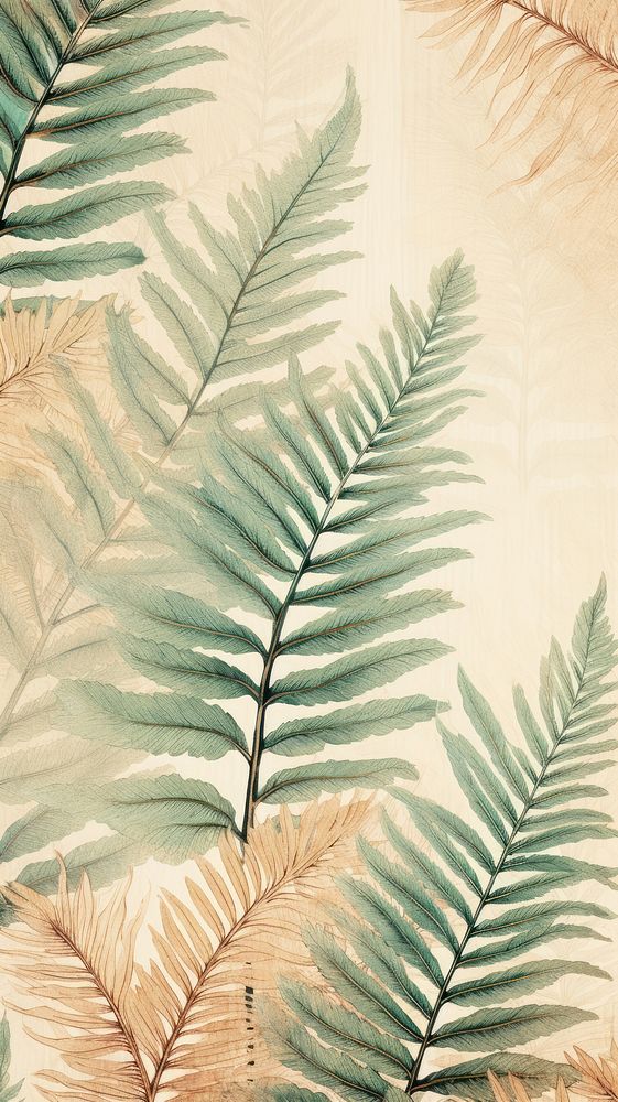 Wallpaper fern backgrounds sketch plant. | Free Photo Illustration ...