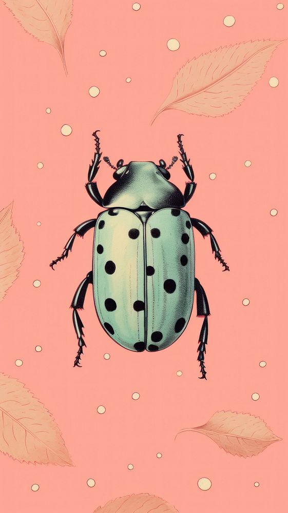 Wallpaper beetle animal insect invertebrate. | Free Photo Illustration ...