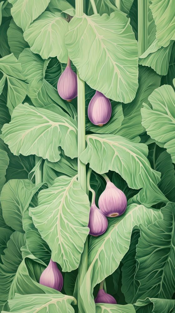 Wallpaper figs backgrounds purple plant. | Premium Photo Illustration ...